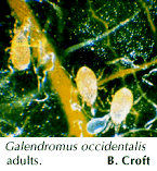 Pests and Beneficials